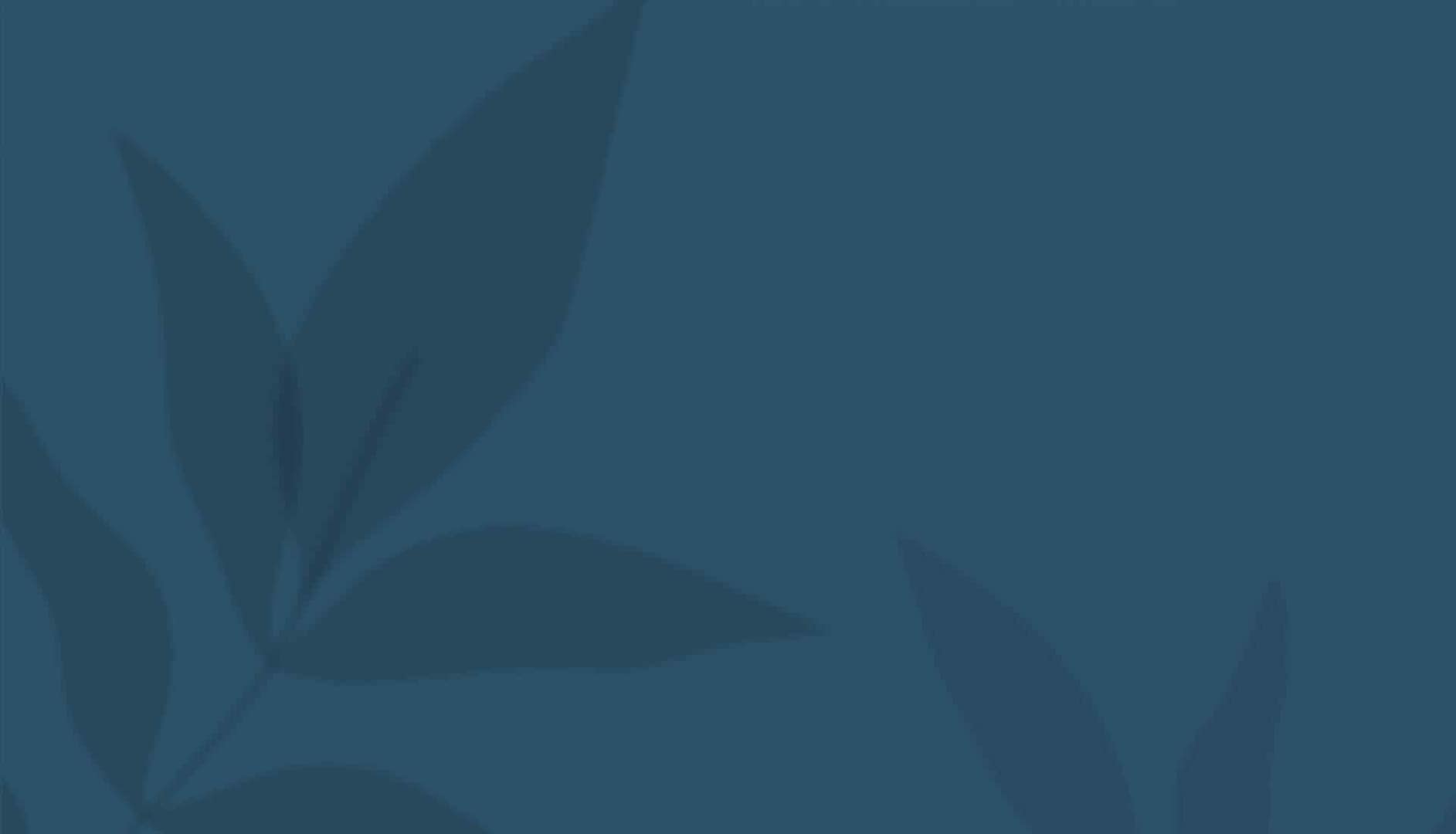 Blog - The Kaizen Clinic